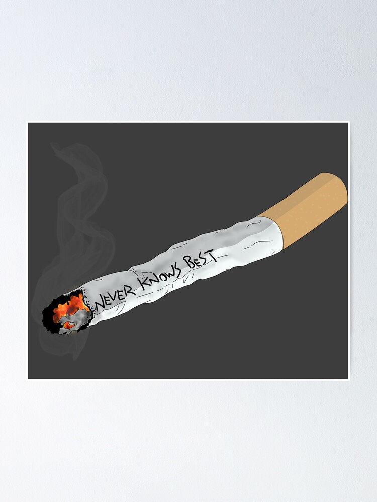 "Never Knows Best - flcl " Poster for Sale by slammiejaneart | Redbubble