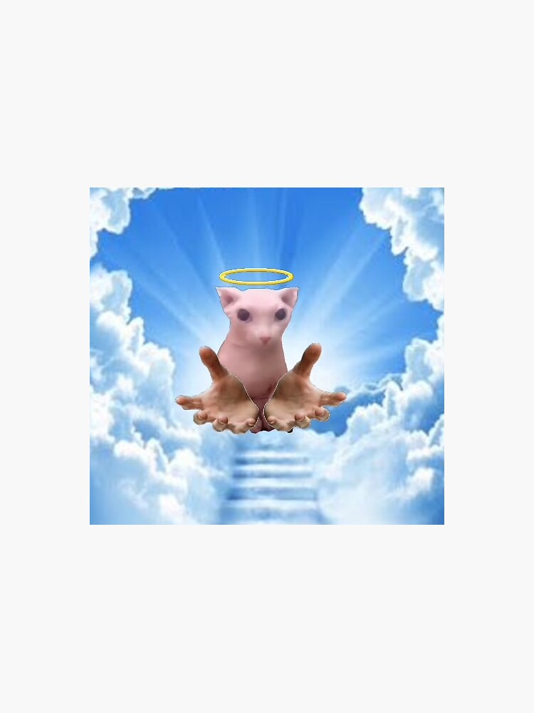 "Bingus " Sticker for Sale by lemonaidenart | Redbubble