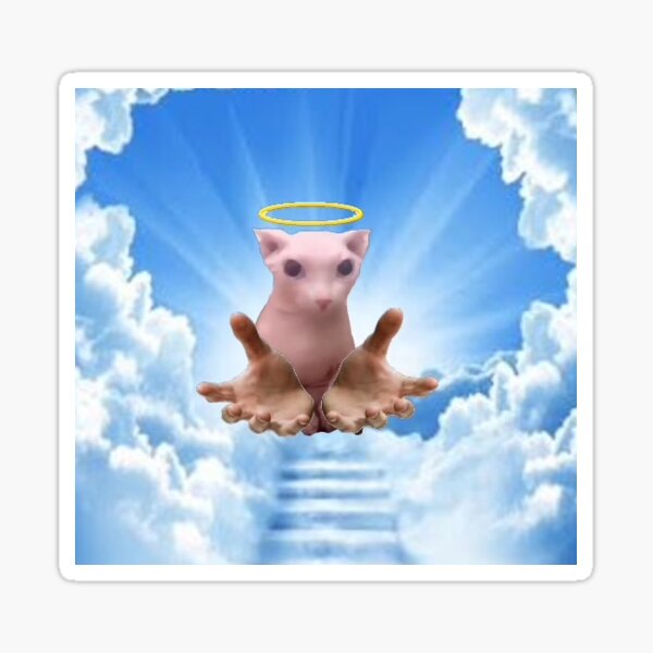 "Bingus " Sticker for Sale by lemonaidenart | Redbubble