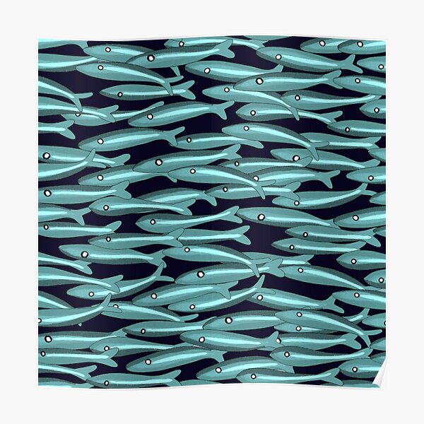 "School of Fish" Poster by divafern | Redbubble