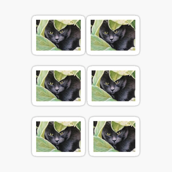 "Cat playing hide and seek | cat lover stickers pack" Sticker by ...