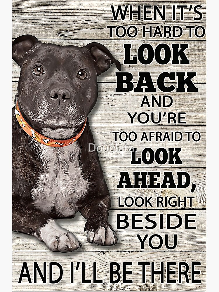 Staffy Quotes Staffordshire Bull Terrier PDSA