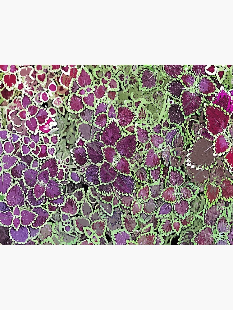 "Purple grass color art" Poster by artdragongift | Redbubble
