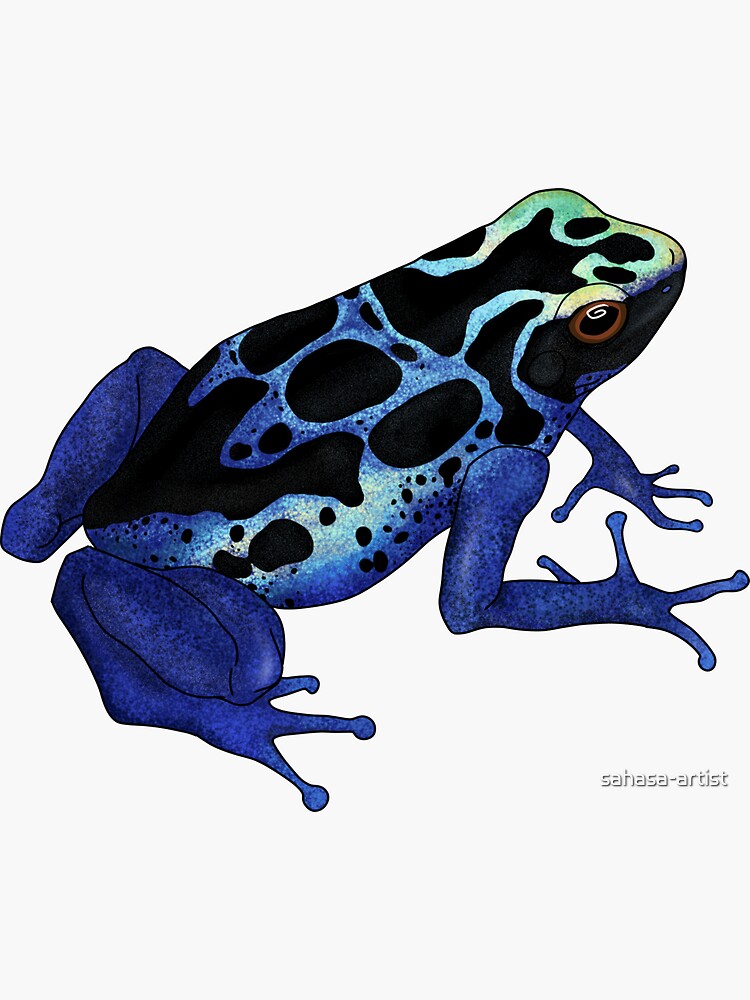 "Blue poison dart frog Acarai Mountains morph" Sticker for Sale by ...