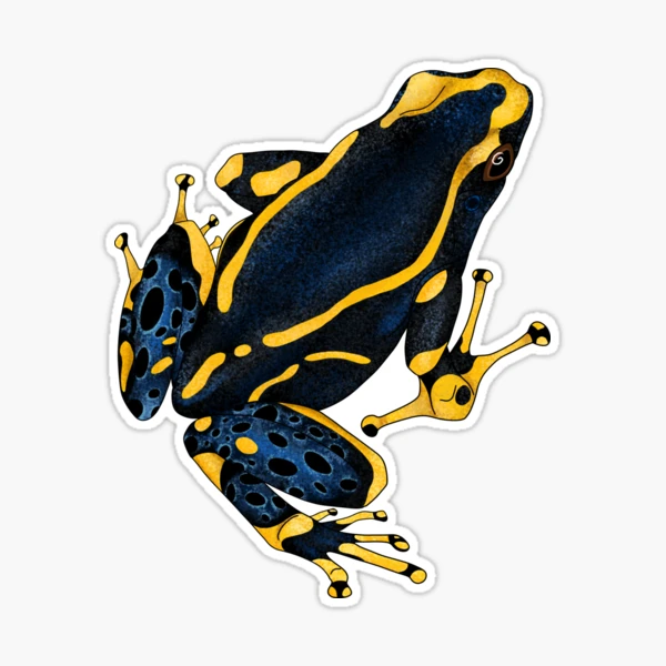 Alanis Dart Frog