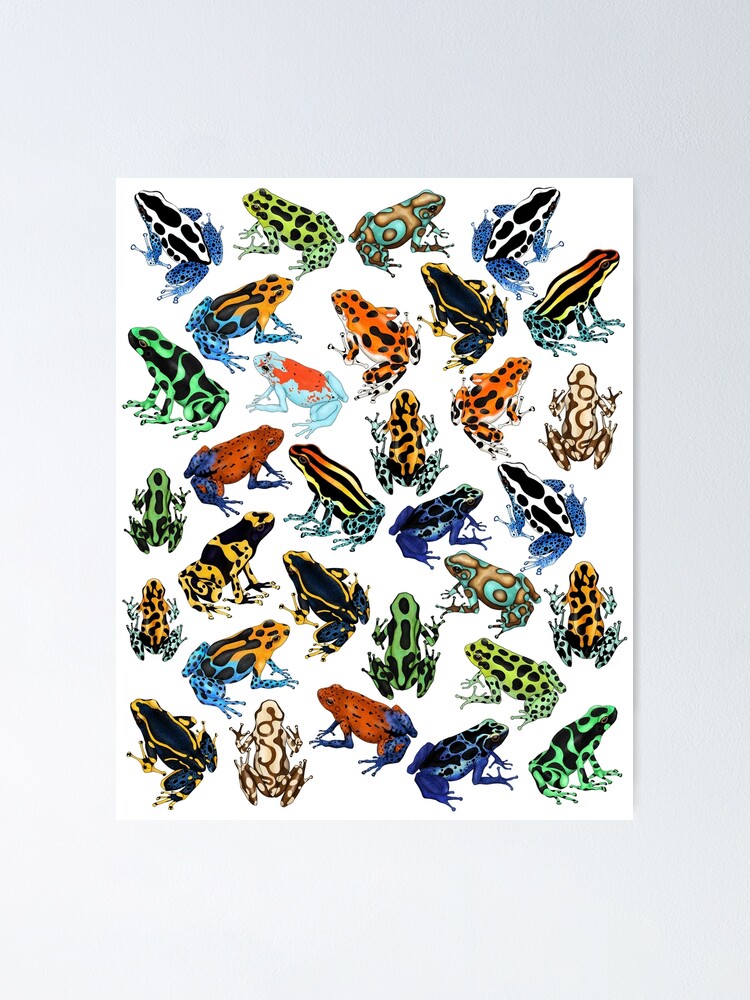"Poison Dart Frogs of the World" Poster for Sale by sahasa-artist ...