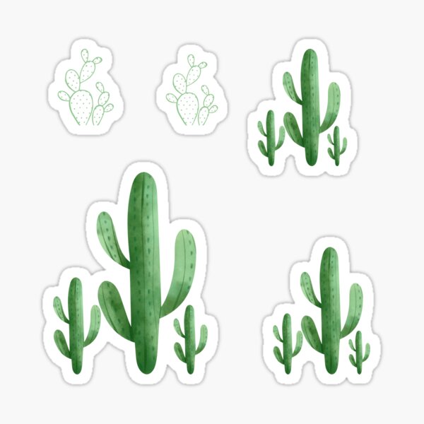 "Cactus aesthetic Sticker" Sticker for Sale by suphaphon2020 | Redbubble