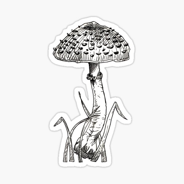 "parasol" Sticker by HiddenStash | Redbubble