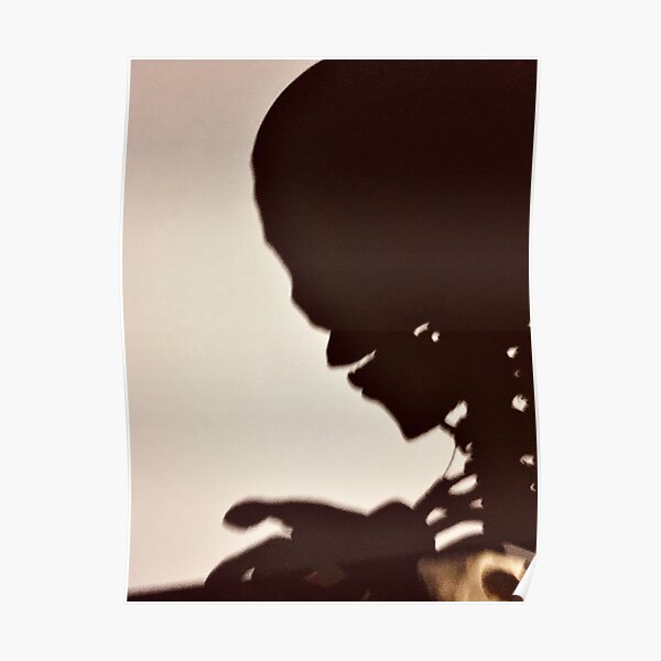 "skeleton shadow photography dark aesthetic" Poster by Talies-art ...