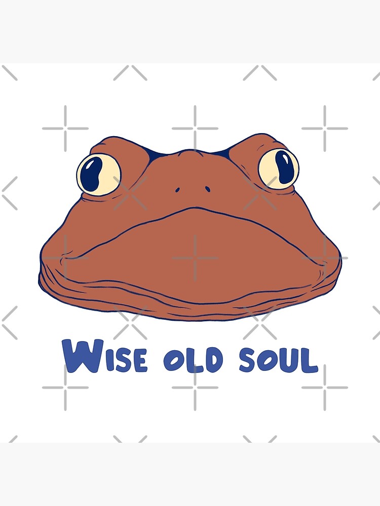 "Wise Old Soul Toad Face" Poster for Sale by elevenkivi | Redbubble