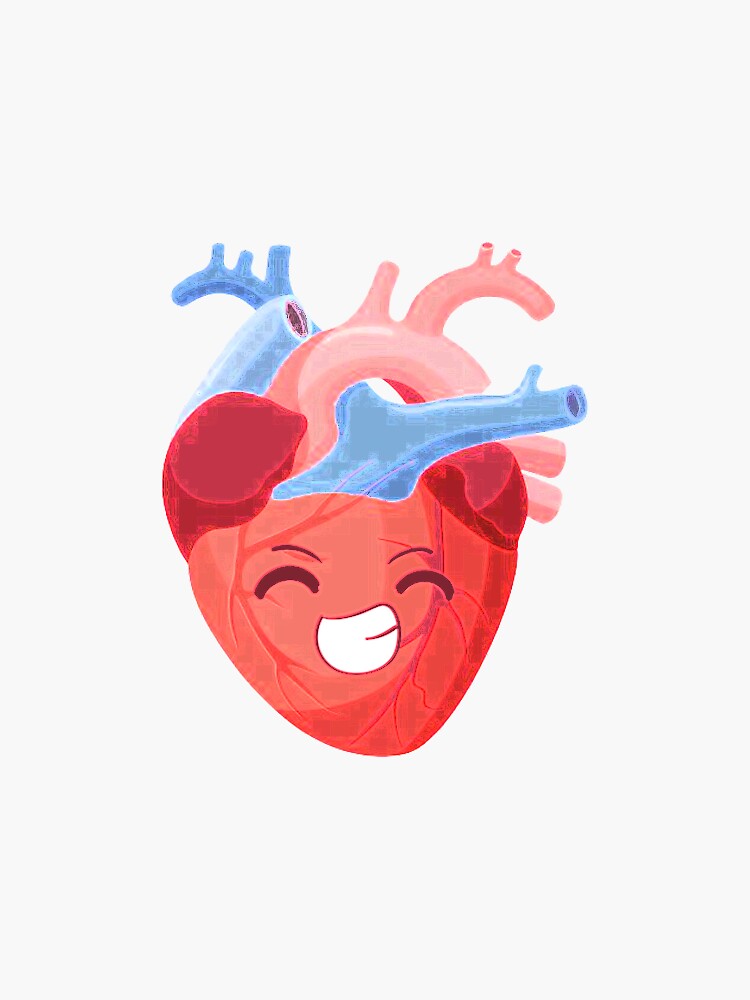 "Anatomical Happy Heart Cartoon" Sticker for Sale by Glittervamp ...