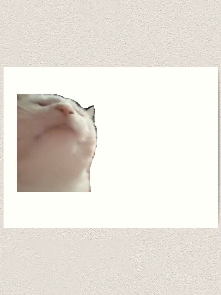 "Vibing Cat Meme" Art Print for Sale by masoncarr2244 | Redbubble