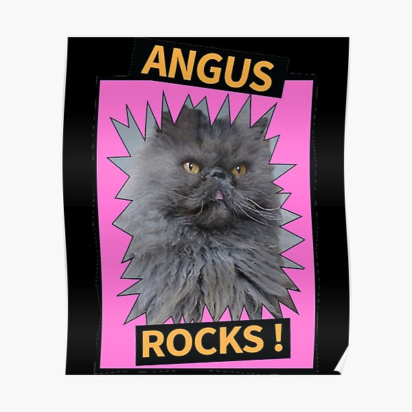 "Angus Rocks Essential" Poster for Sale by callinavar | Redbubble