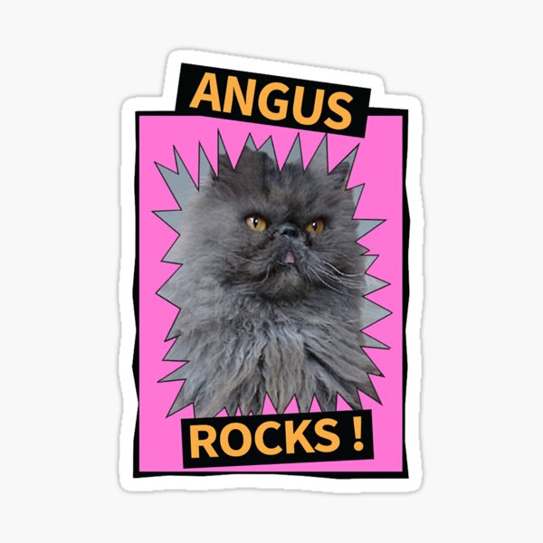"Angus Rocks Essential" Sticker by callinavar | Redbubble