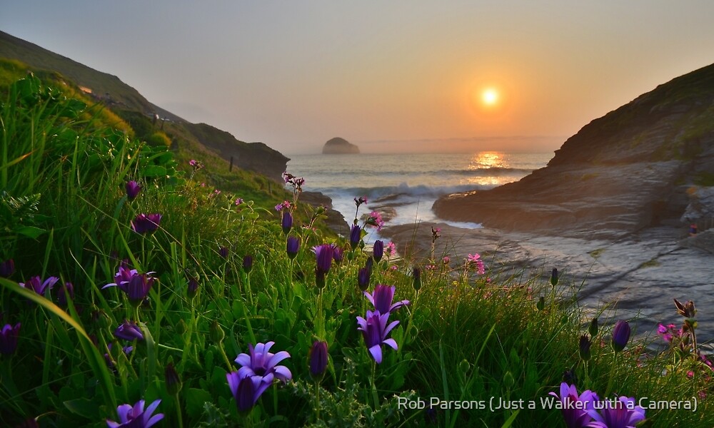 "Cornwall: Spring Colours at the Strand" by Rob Parsons (Just a Walker ...