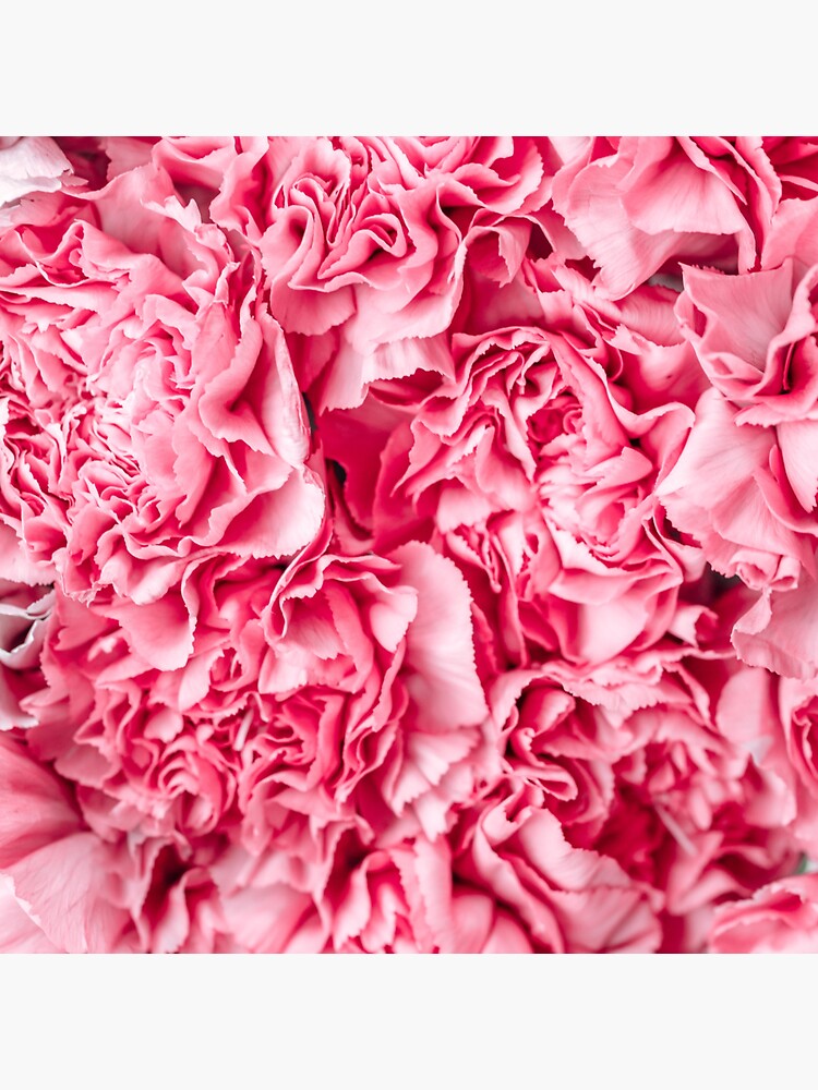 "Picture made of a bunch of roses, magnetic" Sticker for Sale by ...