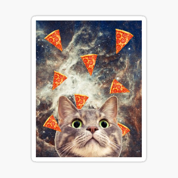 "Cat in flying pizza space, Cat Art, Collage Art, Surrealism" Sticker ...