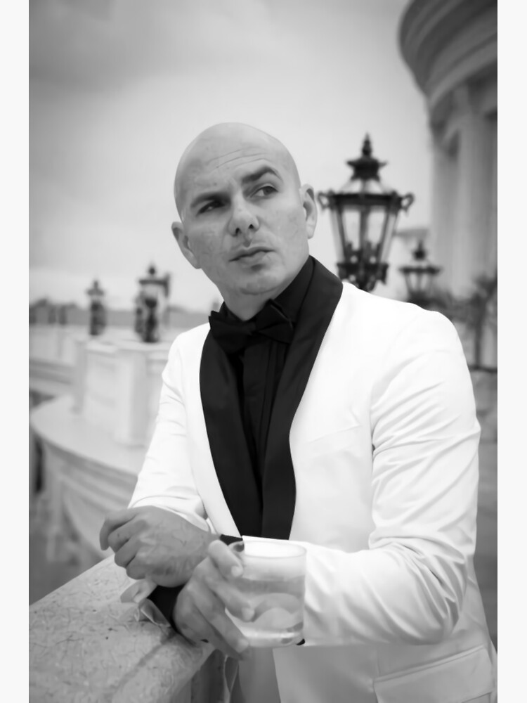 "Fun art Pitbull Rapper " Sticker by nemmaema | Redbubble