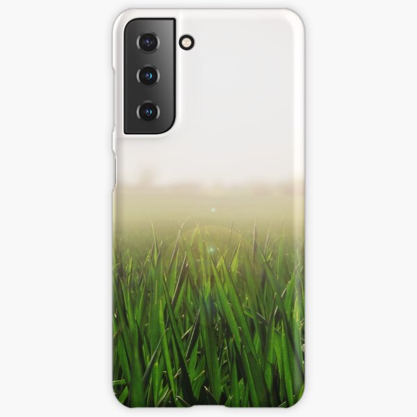 "Grass background. Sunny and peaceful landscape of grass blades and ...