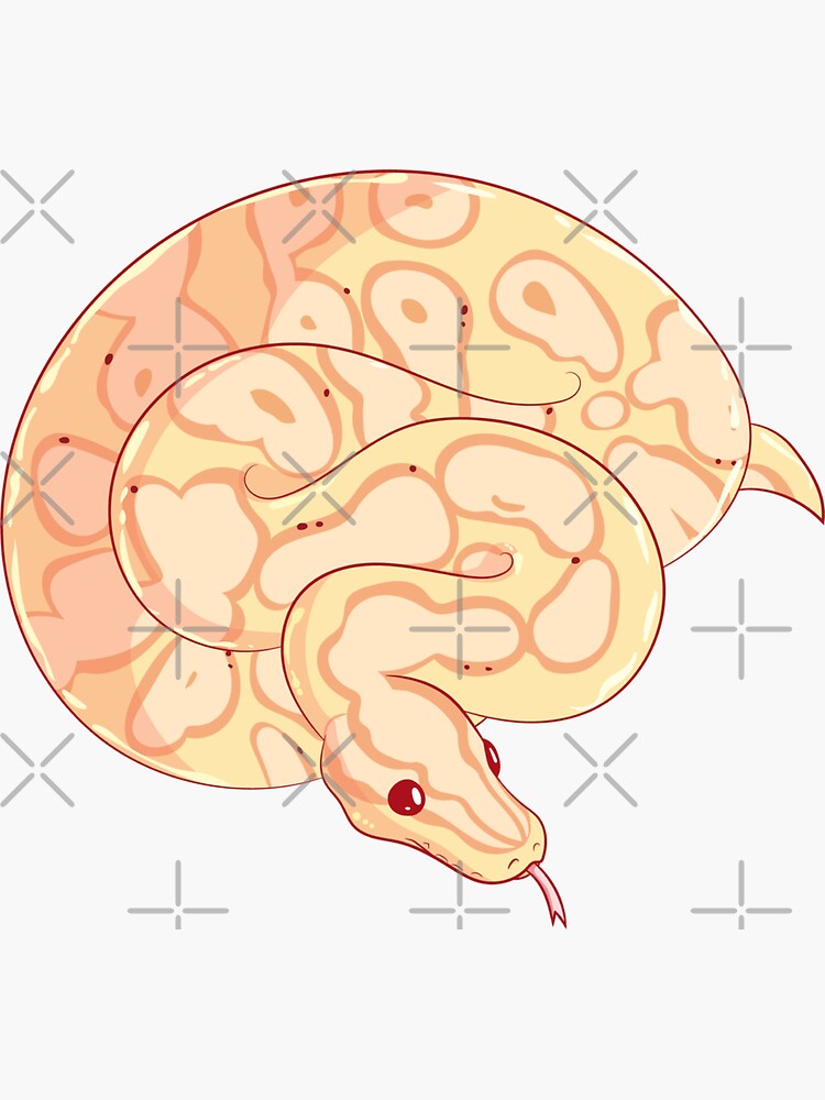 "Banana Ball Python" Sticker for Sale by art-master1 | Redbubble