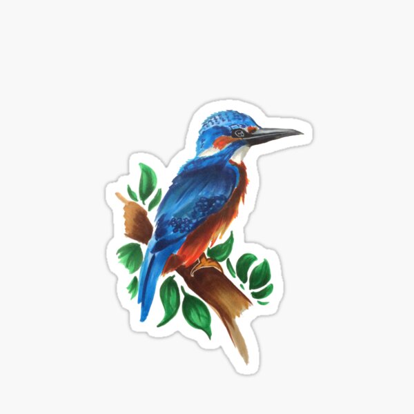 "Kingfisher" Sticker by sinamonroll | Redbubble