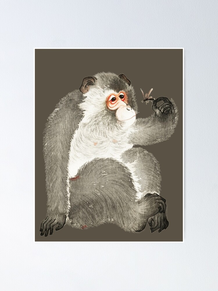 "Monkey with insect by Ohara Koson - Japanese Art" Poster for Sale by ...