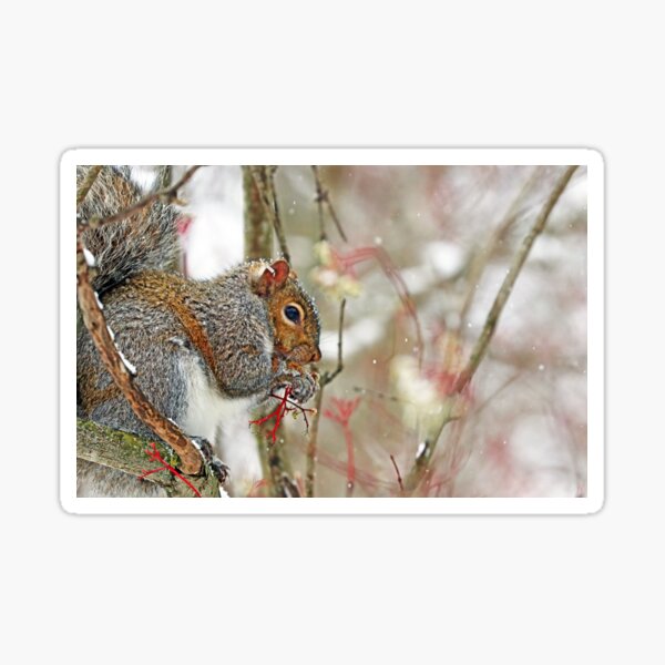 "All Mine" Sticker for Sale by debop1 | Redbubble