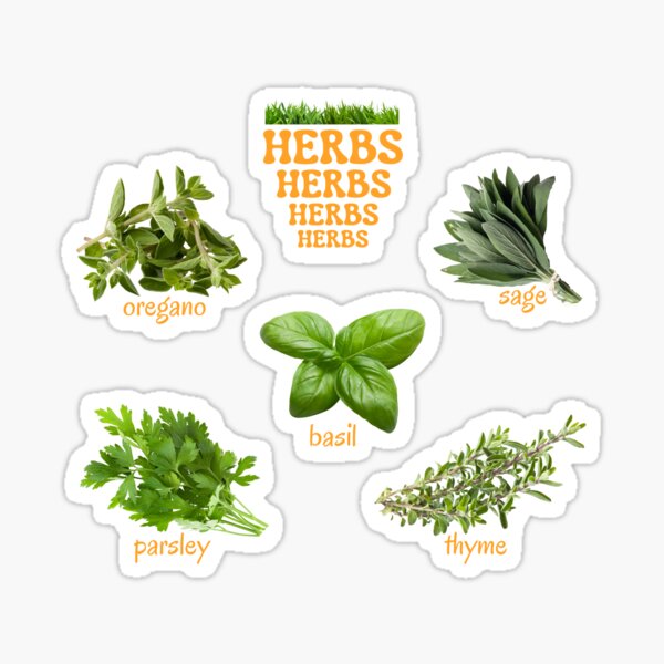 "Herbs Stickers Oregano Basil Thyme" Sticker for Sale by CBCreations73 ...