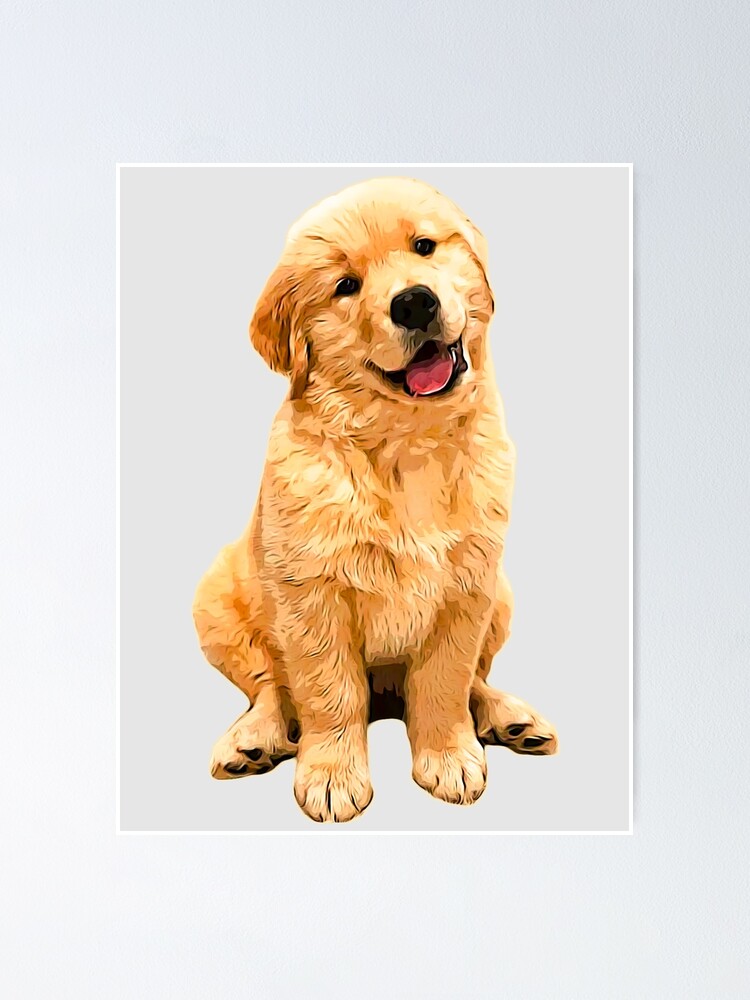 Poster for Sale avec l'œuvre « Inclinaison de la tête du chiot Golden Retriever » de l'artiste ...