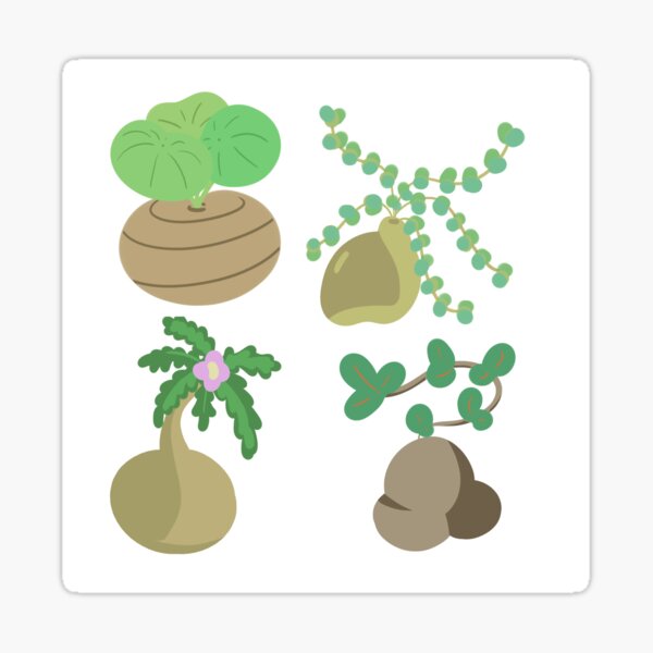 "Caudex Plant Collection" Sticker by Sodivm | Redbubble
