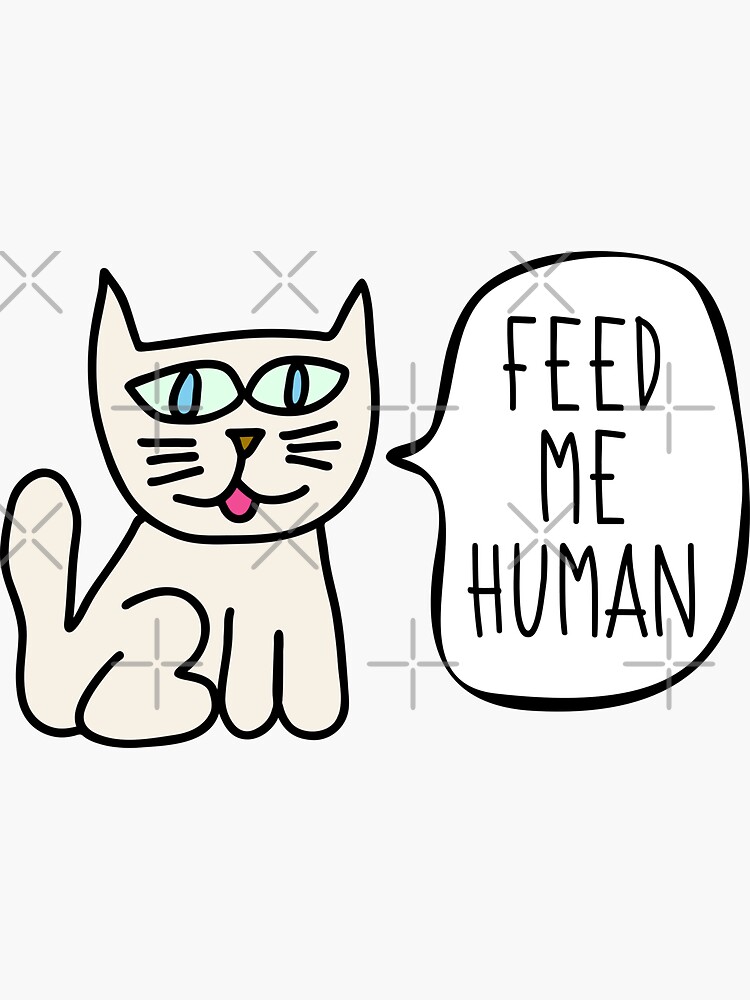 "Cat Feed Me Human" Sticker by liewy | Redbubble