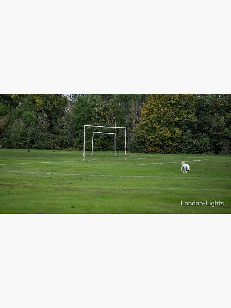 "Moving Goalposts" Poster for Sale by London-Lights | Redbubble