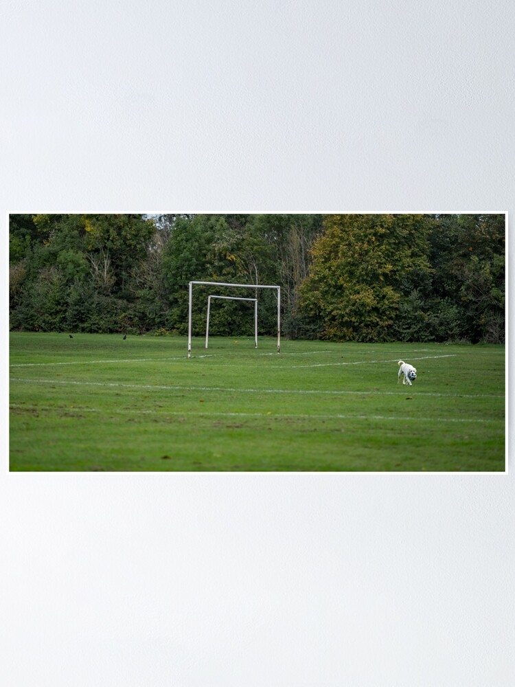 "Moving Goalposts" Poster for Sale by London-Lights | Redbubble