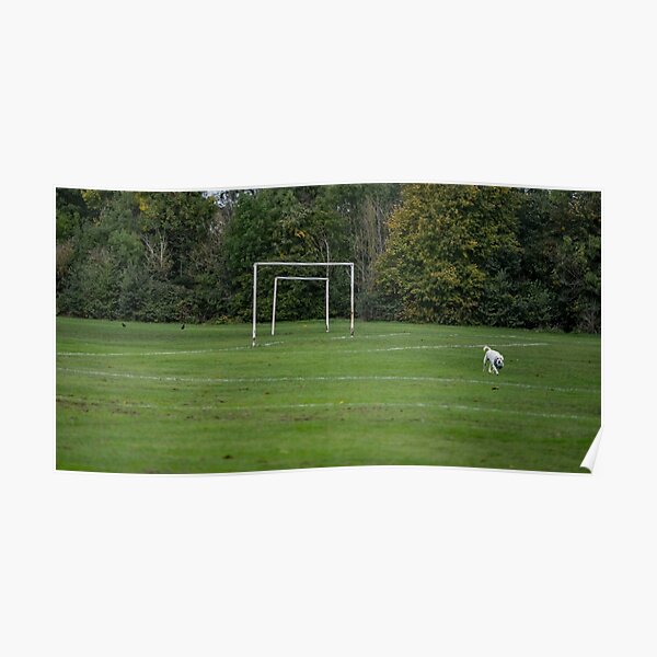 "Moving Goalposts" Poster for Sale by London-Lights | Redbubble