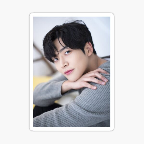 "Rowoon Sf9" Sticker for Sale by Divya21 | Redbubble