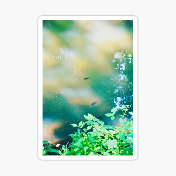 "Rays" Sticker for Sale by JMVenom | Redbubble