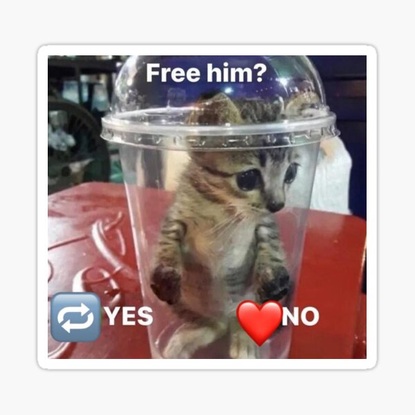 "Free him? YES NO cat" Sticker for Sale by papa-zoinks | Redbubble