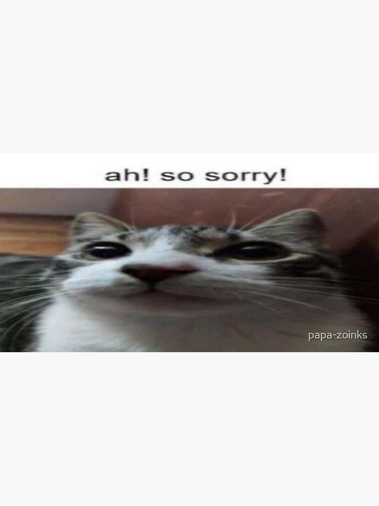 "ah! so sorry! ((cat))" Sticker for Sale by papa-zoinks | Redbubble