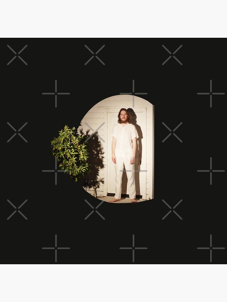 "Bo Burnham Stuck Outside Spotlight (from Inside)" Art Print by ...