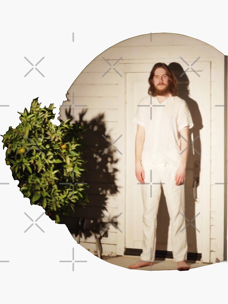 "Bo Burnham Stuck Outside Spotlight (from Inside)" Sticker for Sale by ...