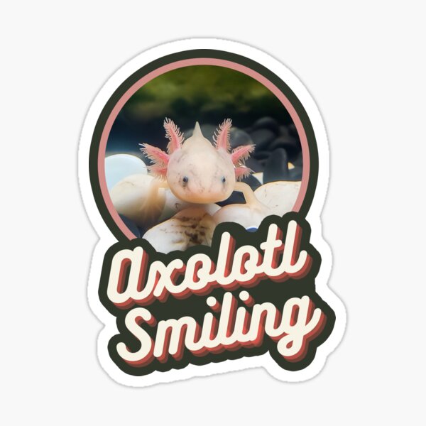 "Axolotl Smile, Axolotl Smiling" Sticker for Sale by Vimbuy | Redbubble