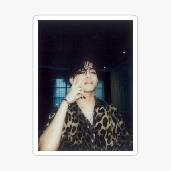"BTS V" Sticker by 0serendipity | Redbubble