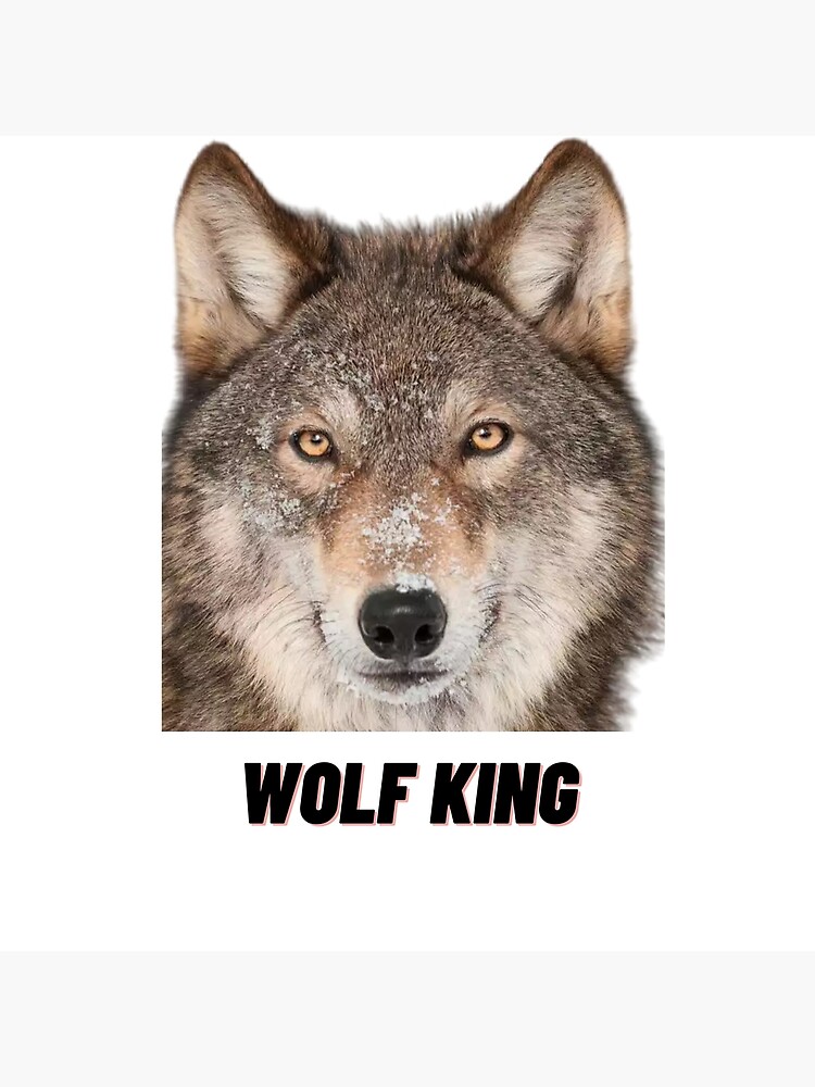 Póster «Lobo, rey lobo y Su Excelencia el lobo» de VITOO5 | Redbubble