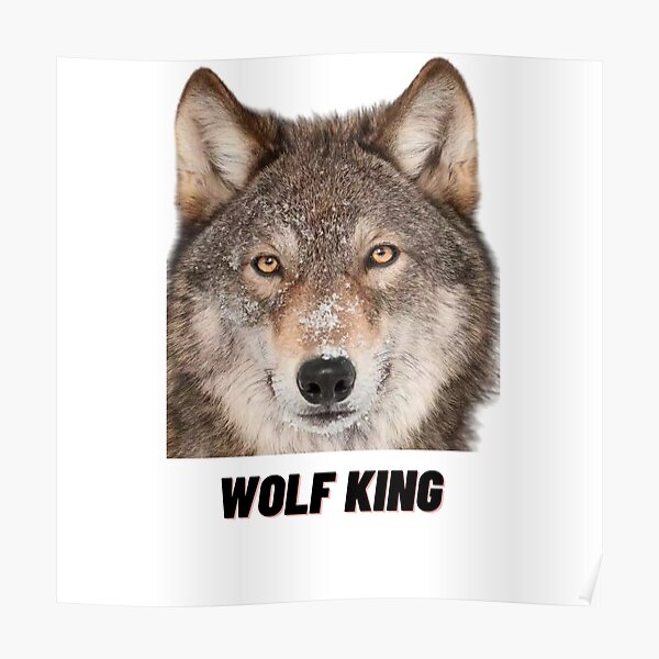 Póster «Lobo, rey lobo y Su Excelencia el lobo» de VITOO5 | Redbubble