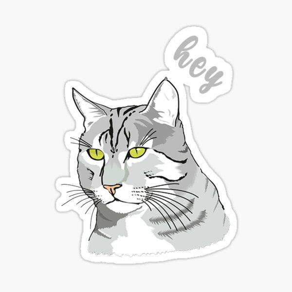 "Cat Grumpy Says Hey " Sticker for Sale by 9chaa | Redbubble