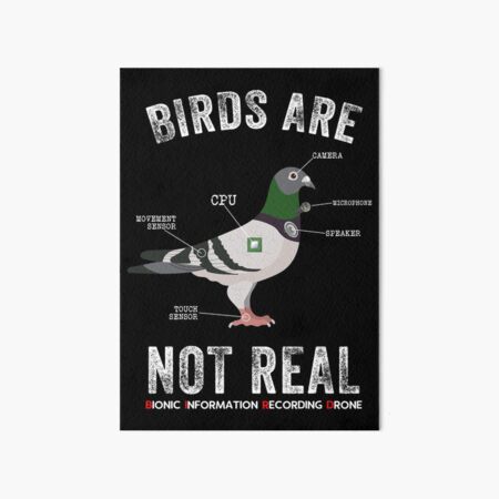 "Birds Are Not Real Drone Conspiracy Theory Funny Bird Spies" Art Board ...
