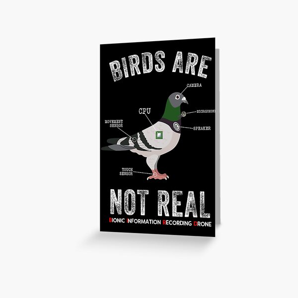 "Birds Are Not Real Drone Conspiracy Theory Funny Bird Spies" Greeting ...