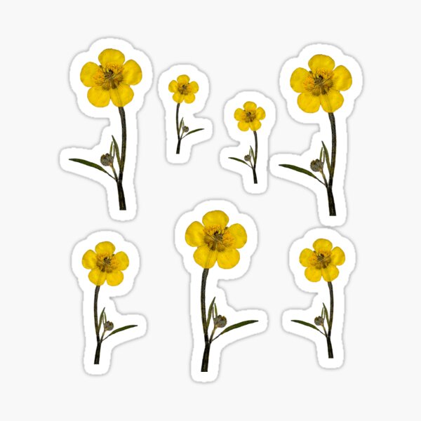 "Buttercup! -sticker set" Sticker by BoredomOptional | Redbubble