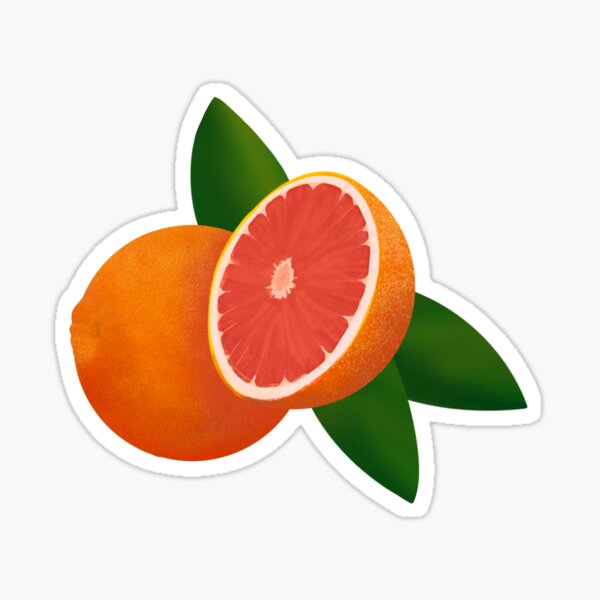 "Grapefruit Fresh Citrus " Sticker by CoryPeeples | Redbubble