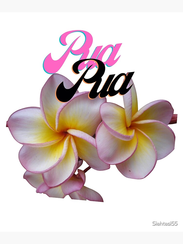 "Pua famous Samoan Polynesian name " Poster by Siahtasi55 | Redbubble